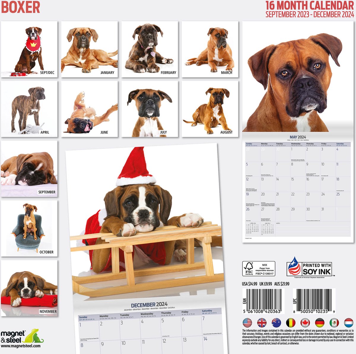Boxer Kalender 2024 Modern | bol