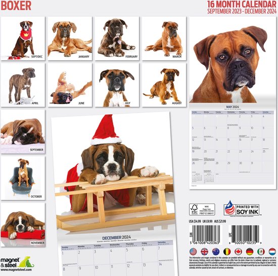 Boxer Kalender 2024 Modern | bol