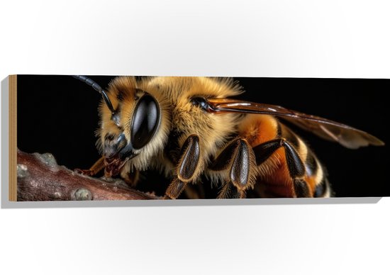 Hout - Dier - Bij - Tak - Zwart - Geel - 90x30 cm - 9 mm dik - Foto op ...