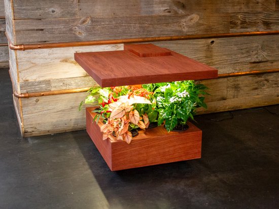 Pluk One - Cherry | Stijlvolle indoor garden tafel. Voor thuis of ...