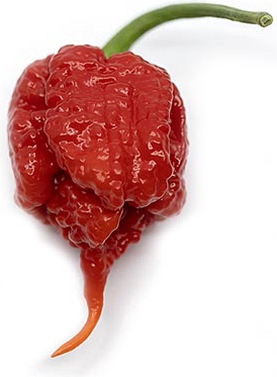 Peper zaden - Carolina Reaper | bol.com