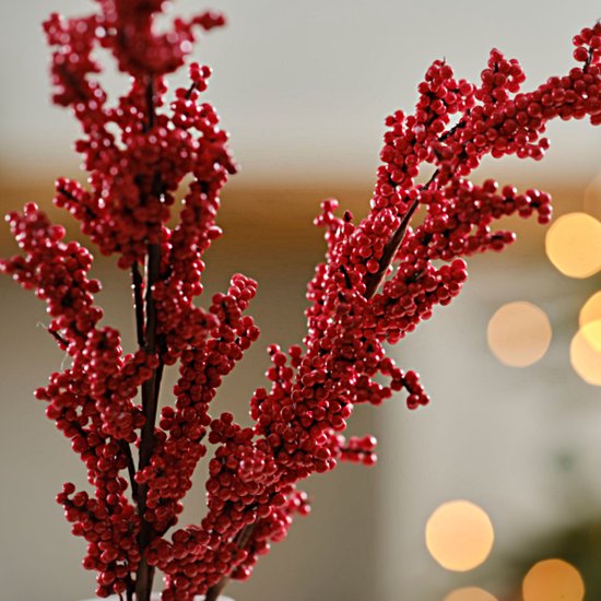 Rode besjes - 5 stuks | bol