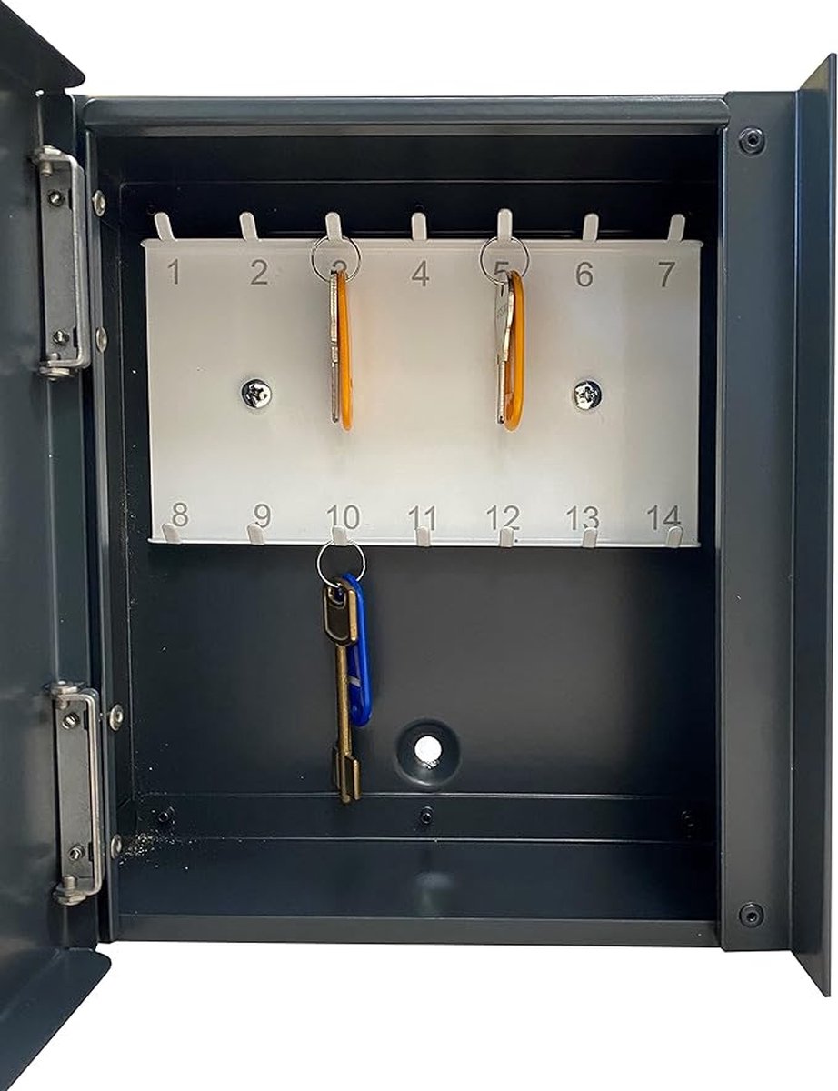 PLPRO14 Armoire à clés avec serrure électronique et 14 crochets pour ...