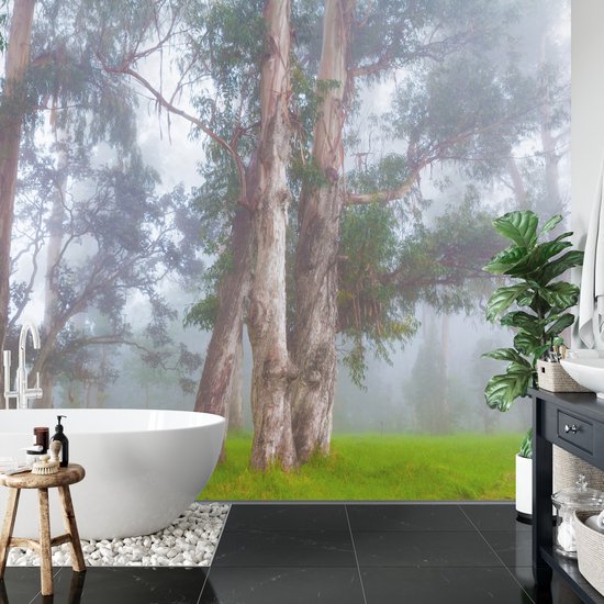 Fotobehang Bos In Mist | bol.com