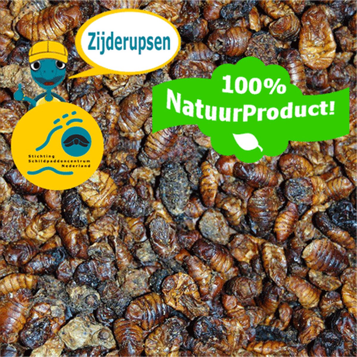 Gedroogde Zijderupsen voor Waterschildpadden - Natuurproduct - 300g | bol