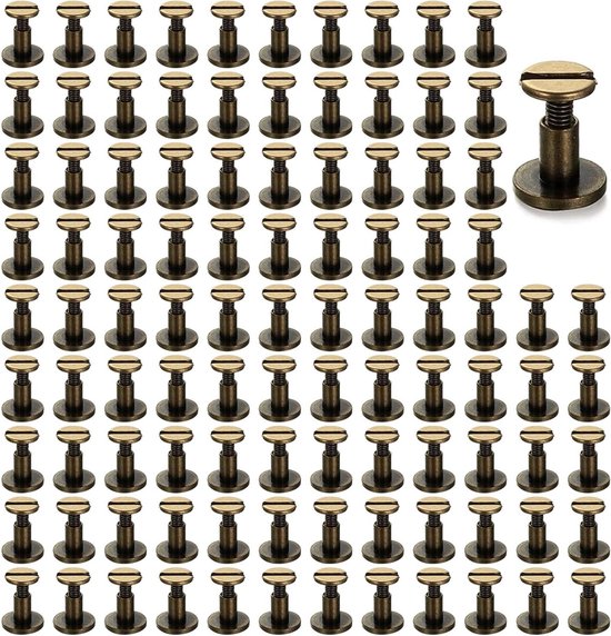 100 Pieces Tubular Metal Studs Phillips Head Chicago Screws Kit ...