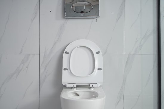 Tornado Rimless Toiletpot 53 cm met Softclose WC-bril Wit | bol