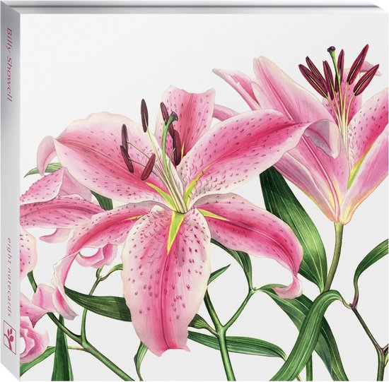 Glebe Cottage The Eco-Friendly Card Company Notecard ~ Kaartenmapje ...