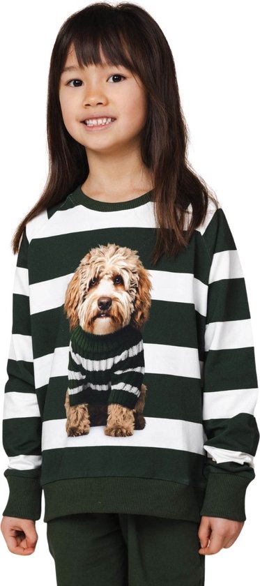 SNURK sweater kids Labradoodle maat 128 | bol