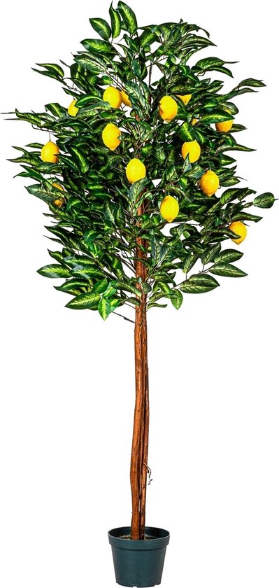Kunstplant - Citroenplant - 184cm | bol