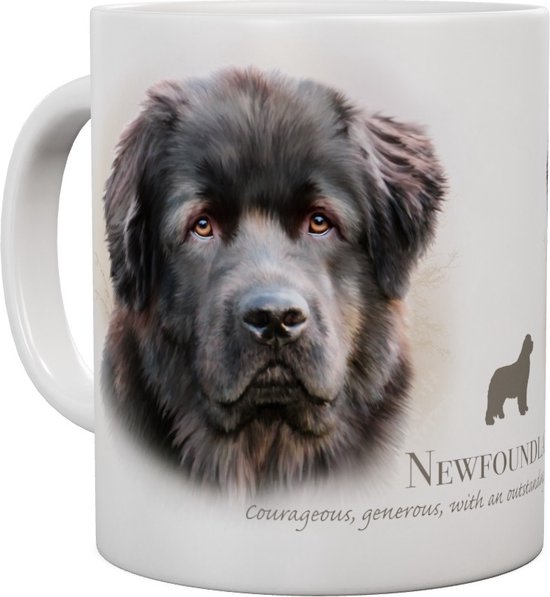 Newfoundlander - Mok 440ml 440 | bol