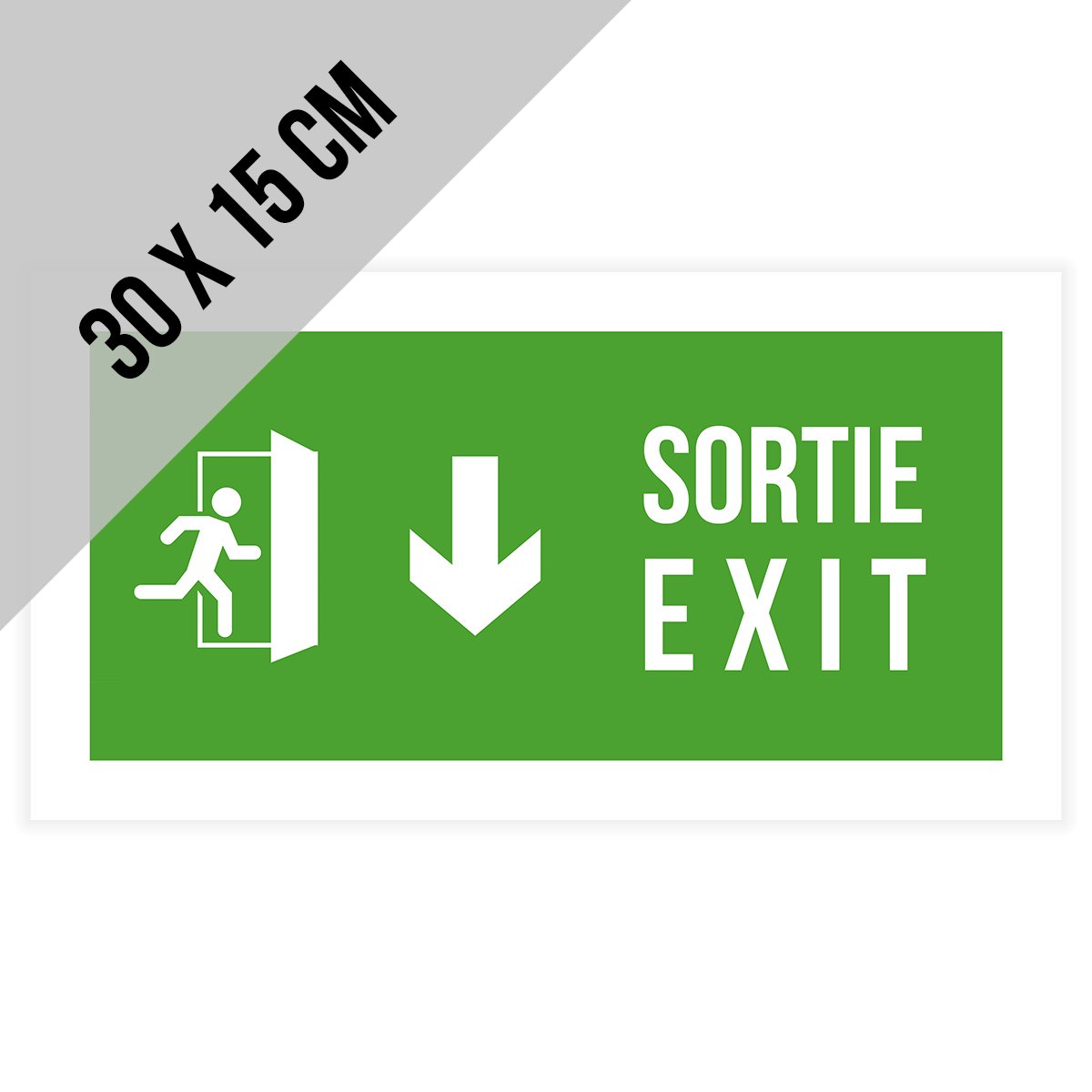 Pictogram/ bord | "Sortie - Exit" met pijl naar beneden| 30 x 15 cm ...