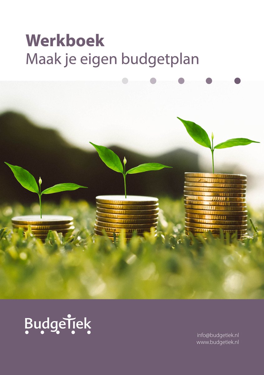 Budget Planner - Maak je eigen budgetplan! - Werkboek - Budgetcoach ...