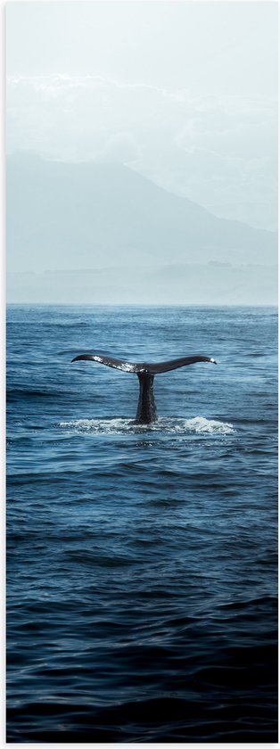 WallClassics - Poster Glanzend – Walvis Staart boven Zee - 30x90 cm ...