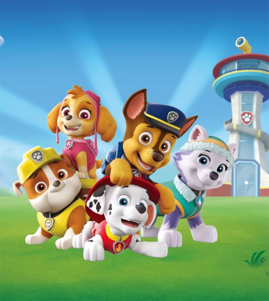 Sanders & Sanders fotobehang PAW patrol blauw en groen - 600628 - 180 x ...