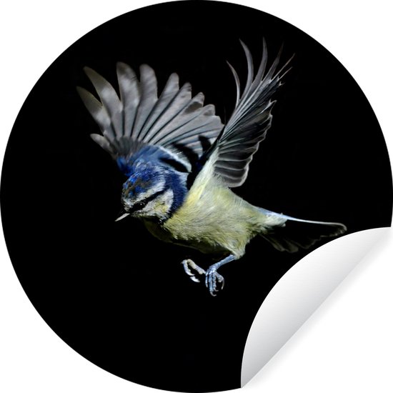 WallCircle - Muurstickers - Behangcirkel - Pimpelmees - Vogel - Zwart - 100x100 cm -... | bol.com