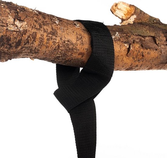 Purple Frog Tree Strap | bol.com