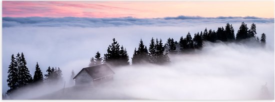 WallClassics - Poster (Mat) - Boomtoppen boven Mistlaag - 90x30 cm Foto ...