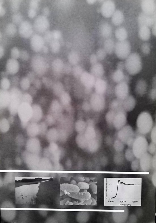 Biological Selenium removal from waste waters, M. Lenz | 9789085048015 ...