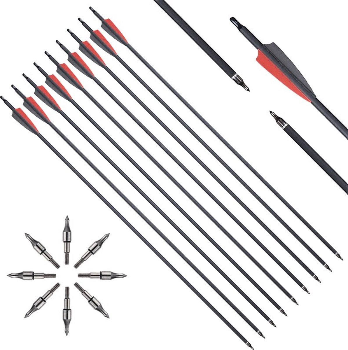 Amenzo© Professionele Pijlen - Archery Boogschieten - Echte - 12 Pijlen ...