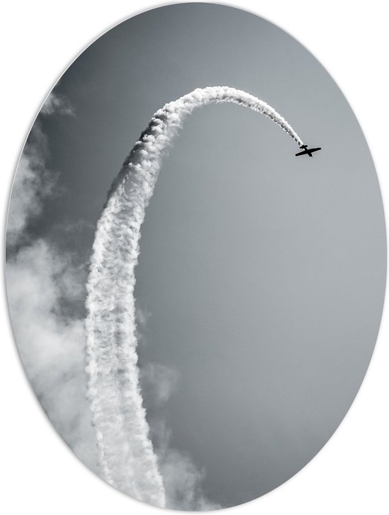 WallClassics - PVC Schuimplaat Ovaal - Stuntvliegtuig met Rook (zwart ...