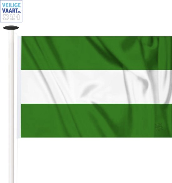 Vlag ROTTERDAM | Spun-polyester | Diverse maten | bol