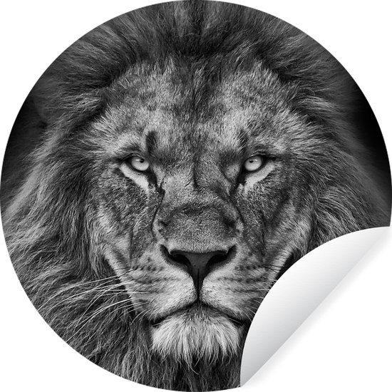 Behangcirkel - Zelfklevend behang - Wilde dieren - Leeuw - Zwart - Wit - 100x100 cm -... | bol