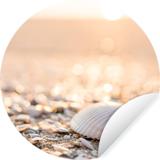 Behangcirkel - Behangsticker - Schelpen - Strand - Zon - Kamer ...