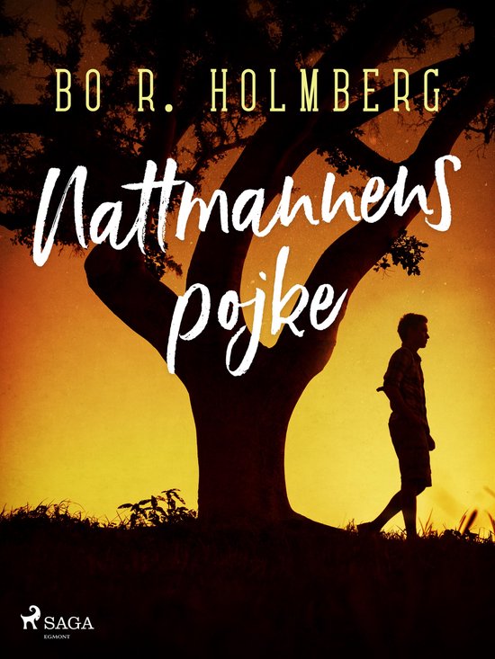 Nattmannens pojke (ebook), Bo R. Holmberg | 9788728202067 | Boeken | bol