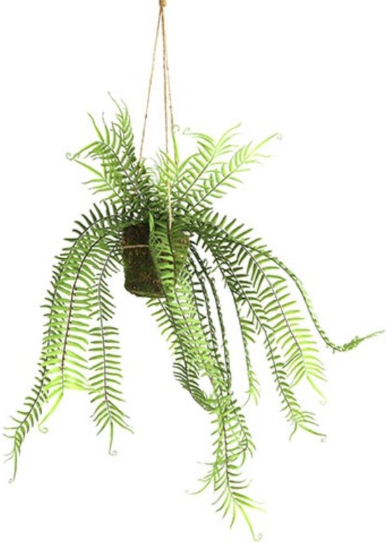 Everplant Kunst Hangplant Varen 60 cm - Kunstplanten - Kunstplanten ... Everplant Kunst Hangplant Varen 60 cm - Kunstplanten - Kunstplanten ...