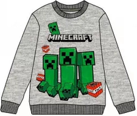 Minecraft Trui - 12 jaar - Maat 152 | bol