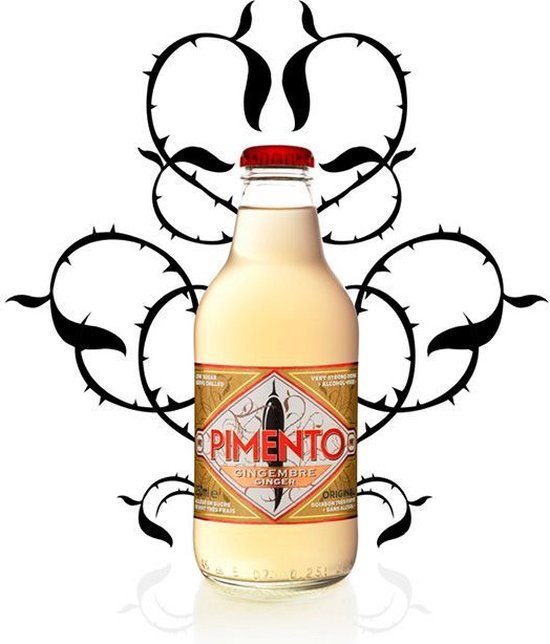 Pimento Spicy Ginger Beer 25cl Coffret 10 Bouteilles Sans Sans alcool ...