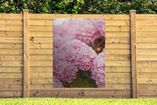 Décoration murale extérieur Arbuste - Fleurs - Rose - Hortensia ...