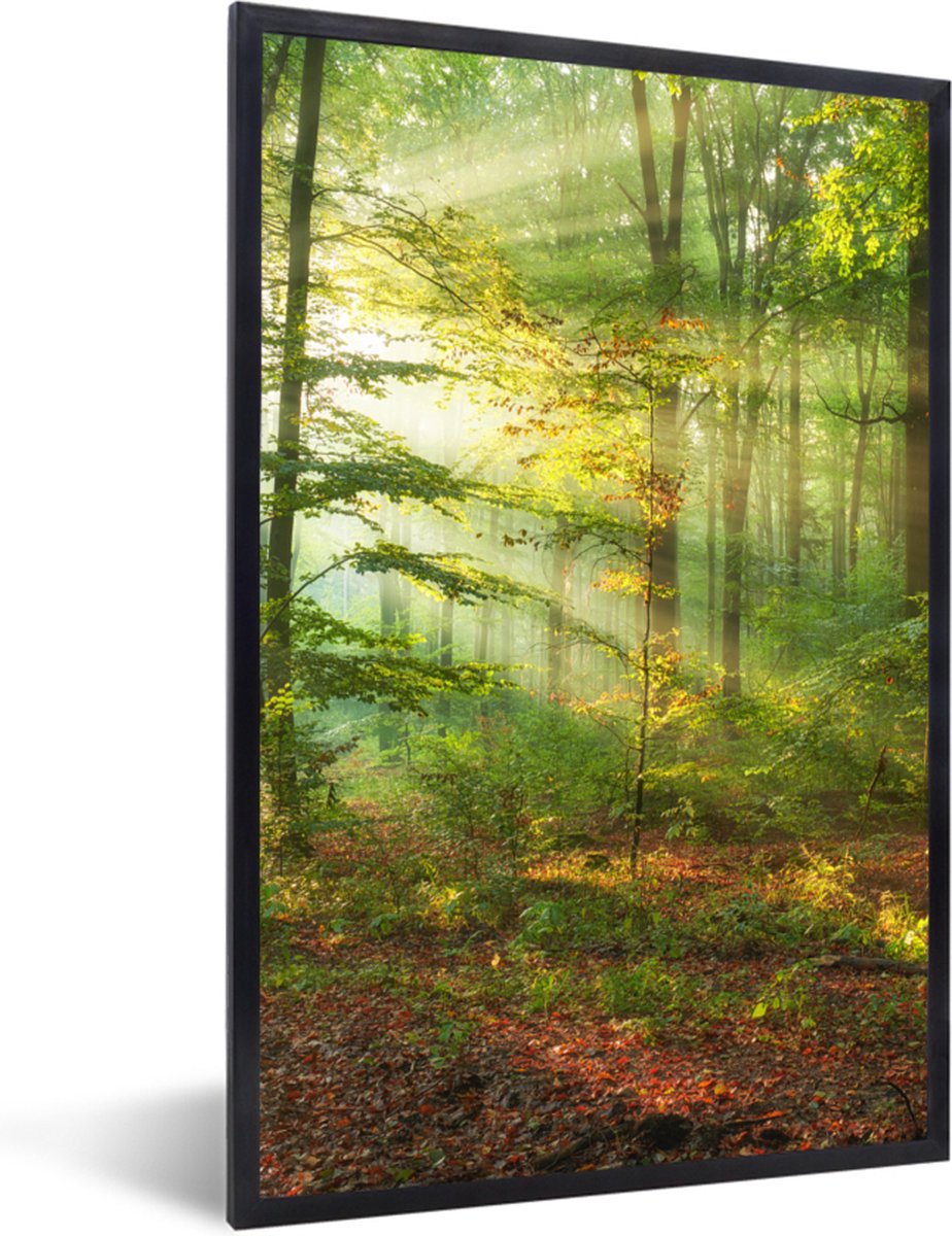 Fotolijst incl. Poster - Zon - Bos - Bomen - Natuur - Herfst - 20x30 cm ...