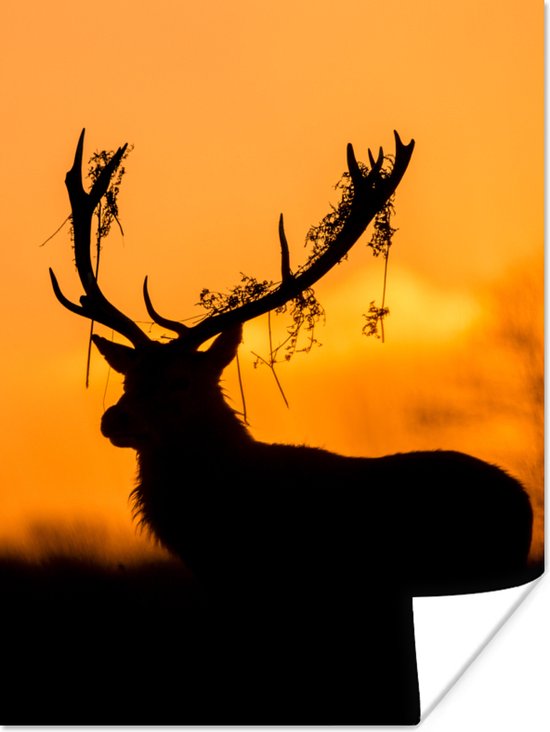 Poster Hert - Oranje - Silhouet - Dieren - Natuur - 30x40 cm | bol.com