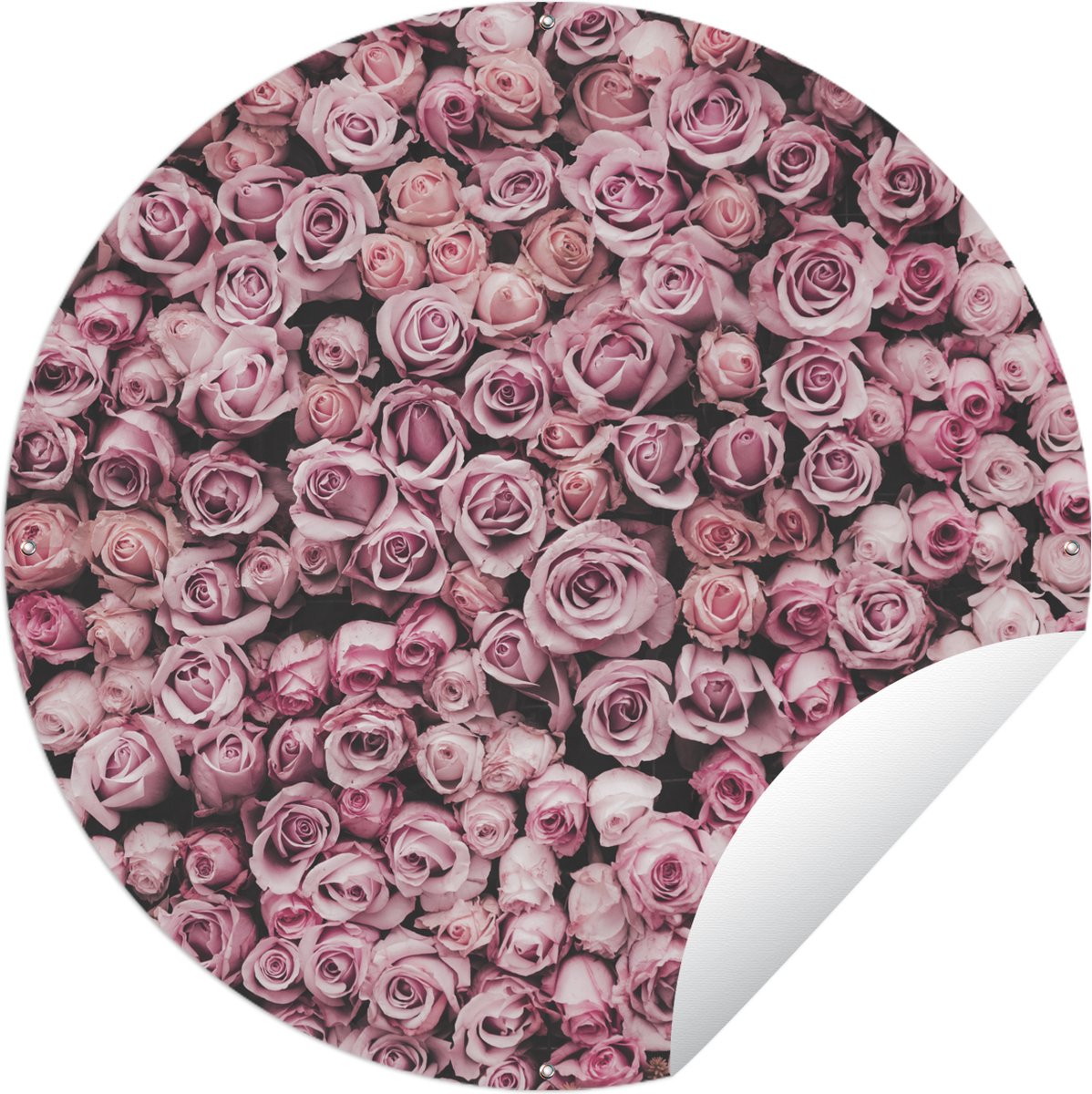 Garden Circle Fleurs - Roses - Nature - Rose - Botanique - 90x90 cm ...