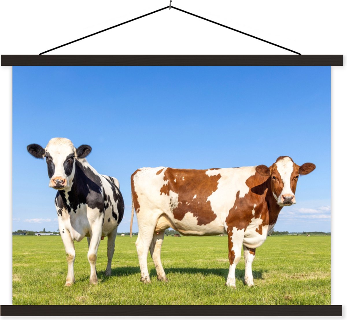 Porte-affiche avec affiche - Affiche scolaire - Vaches - Ferme - Herbe ...