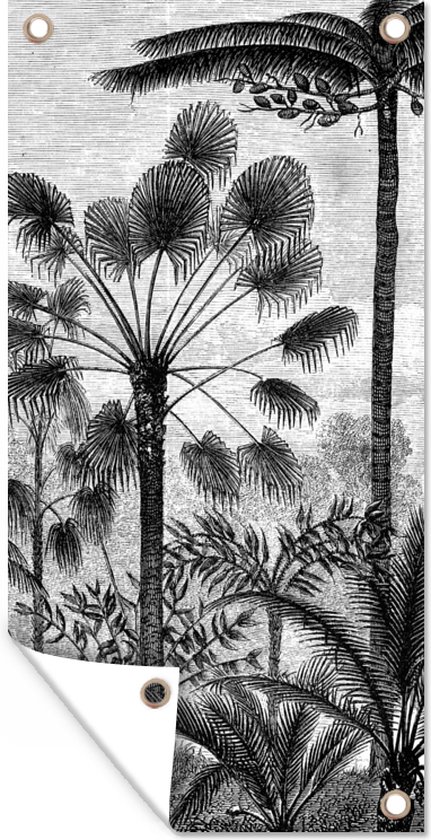 Schuttingposter Design - Bomen - Natuur - Planten - Botanisch - 100x200 ...