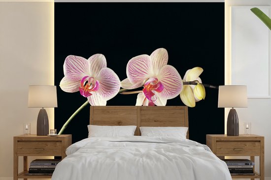 Behang - Fotobehang Orchidee - Bloemen - Zwart - Roze - Knoppen ...
