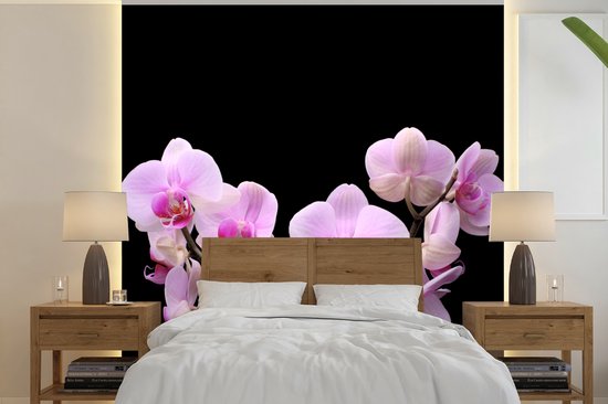 Behang - Fotobehang Orchidee - Bloemen - Roze - Flora - Breedte 220 cm ...
