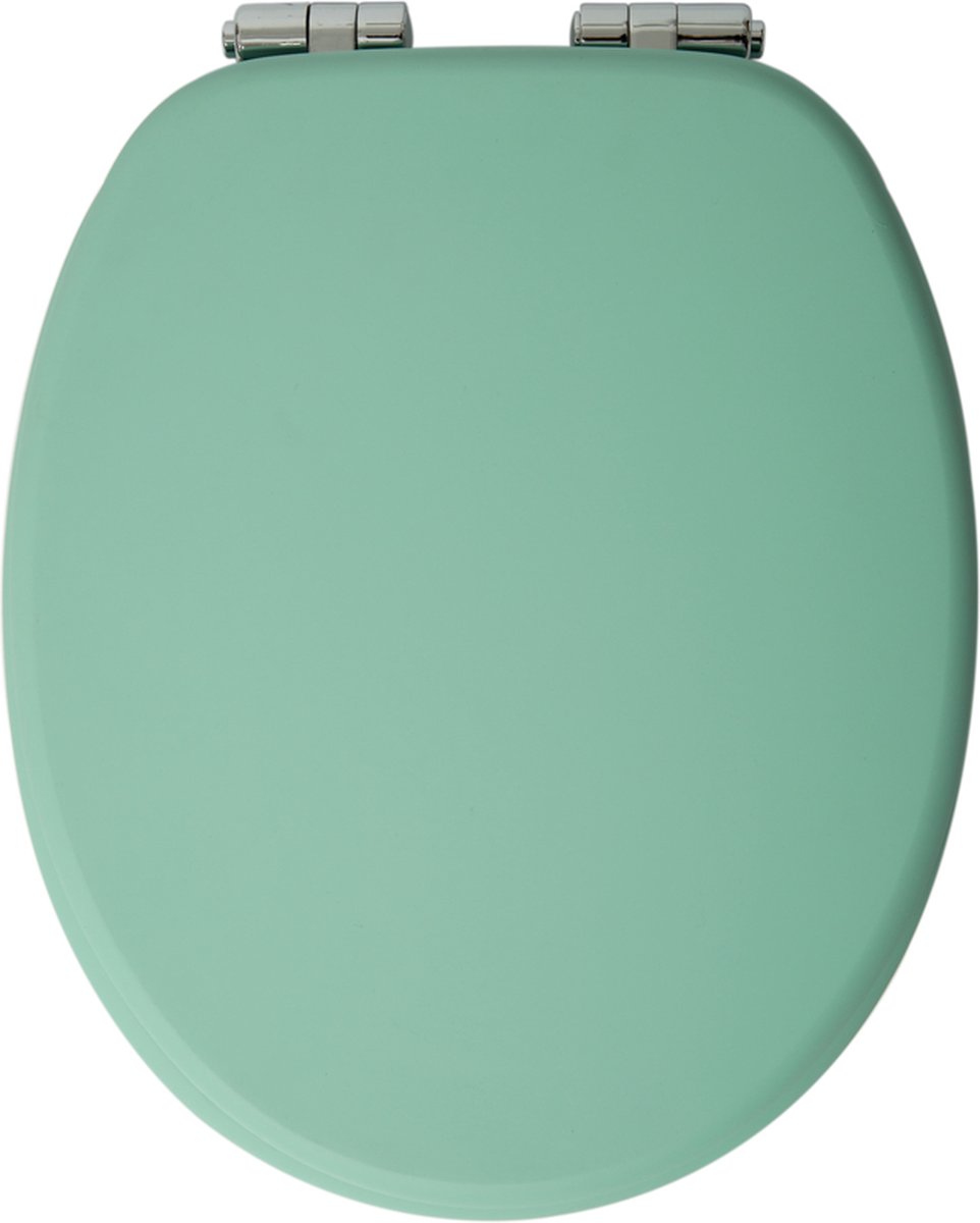 Aquazuro Toiletzitting MDF Groen | bol.com