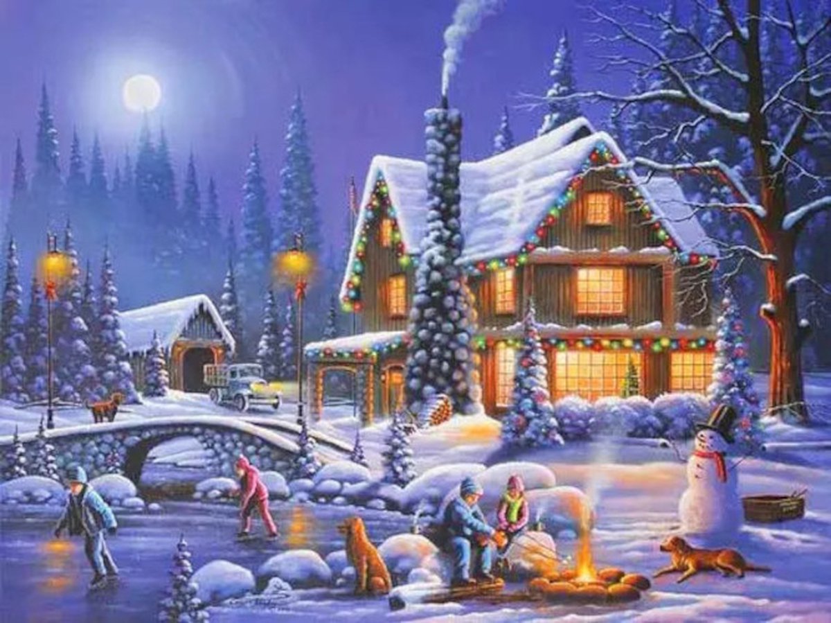 Diamond painting kerst sneeuw sneeuwpop nacht winterhuis 30x40cm ...