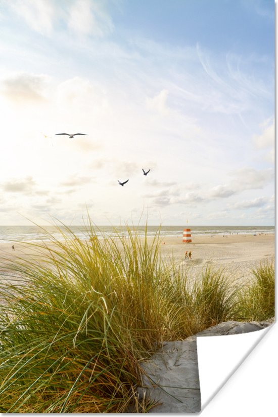 Poster Strand - Zee - Vogels - 60x90 cm | bol