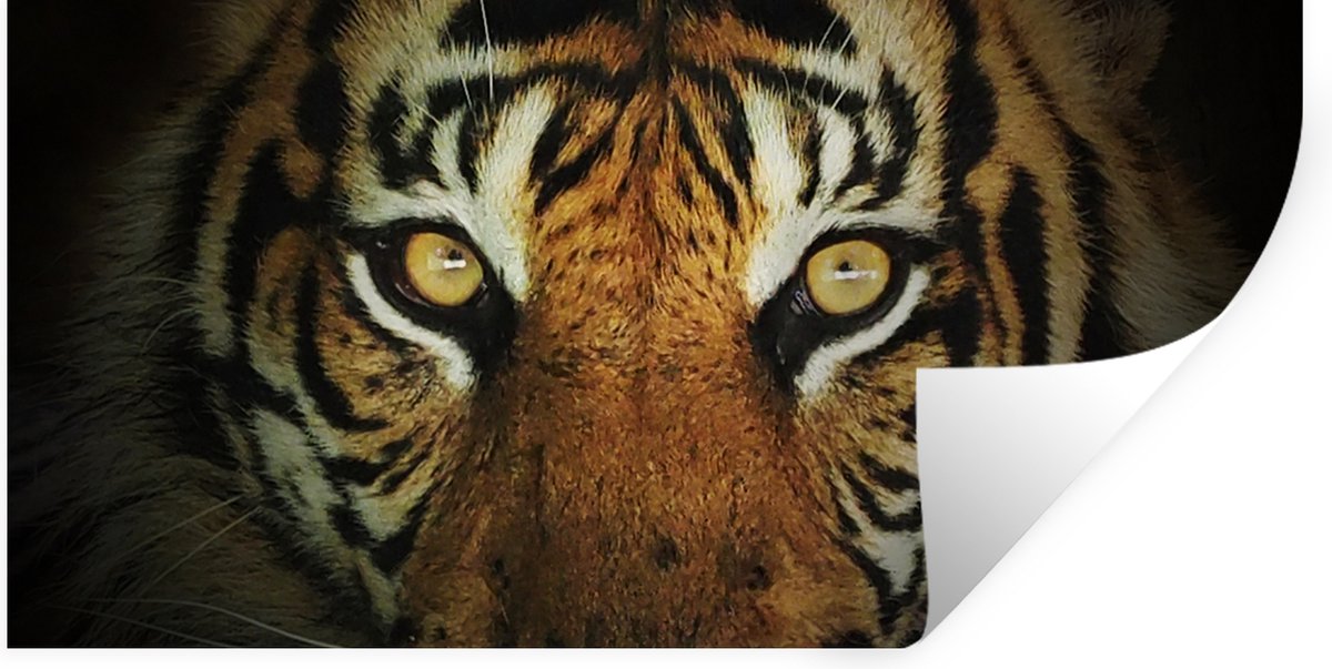 Muurstickers - Tijger - Licht - Ogen - 120x60 cm - Plakfolie | bol