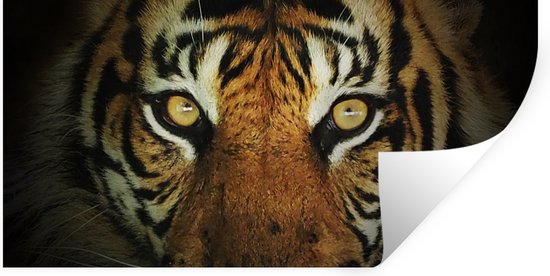 Muurstickers - Tijger - Licht - Ogen - 120x60 cm - Plakfolie | bol