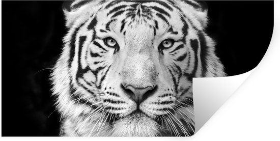 Muurstickers - Sticker Folie - Tijger - Zwart - Wit - Portret - Dieren - 120x60 cm -... | bol