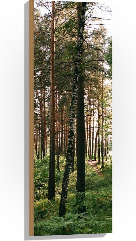 WallClassics - Hout - Hoge Bomen met Groen in Bos - 30x90 cm - 12 mm ...