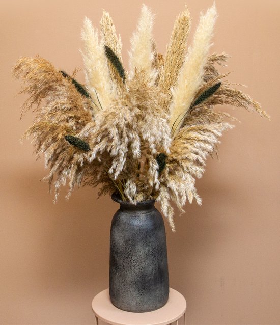 Droogbloemen - Pampas pluimen - Droogboeket Lexie | bol.com