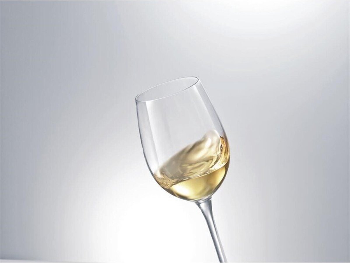 Schott Zwiesel Classico Rodewijnglazen 40 8cl Schott Zwiesel Cc680