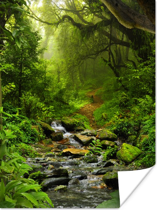 Poster Natuur - Water - Jungle - Bos - Tropisch - 90x120 cm | bol